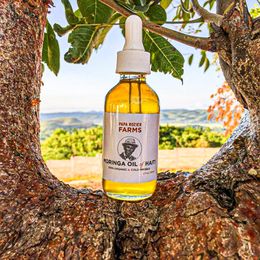 Blog Post 3: Moringa Oil – A Plant Powerhouse Like No Other – Papa ...